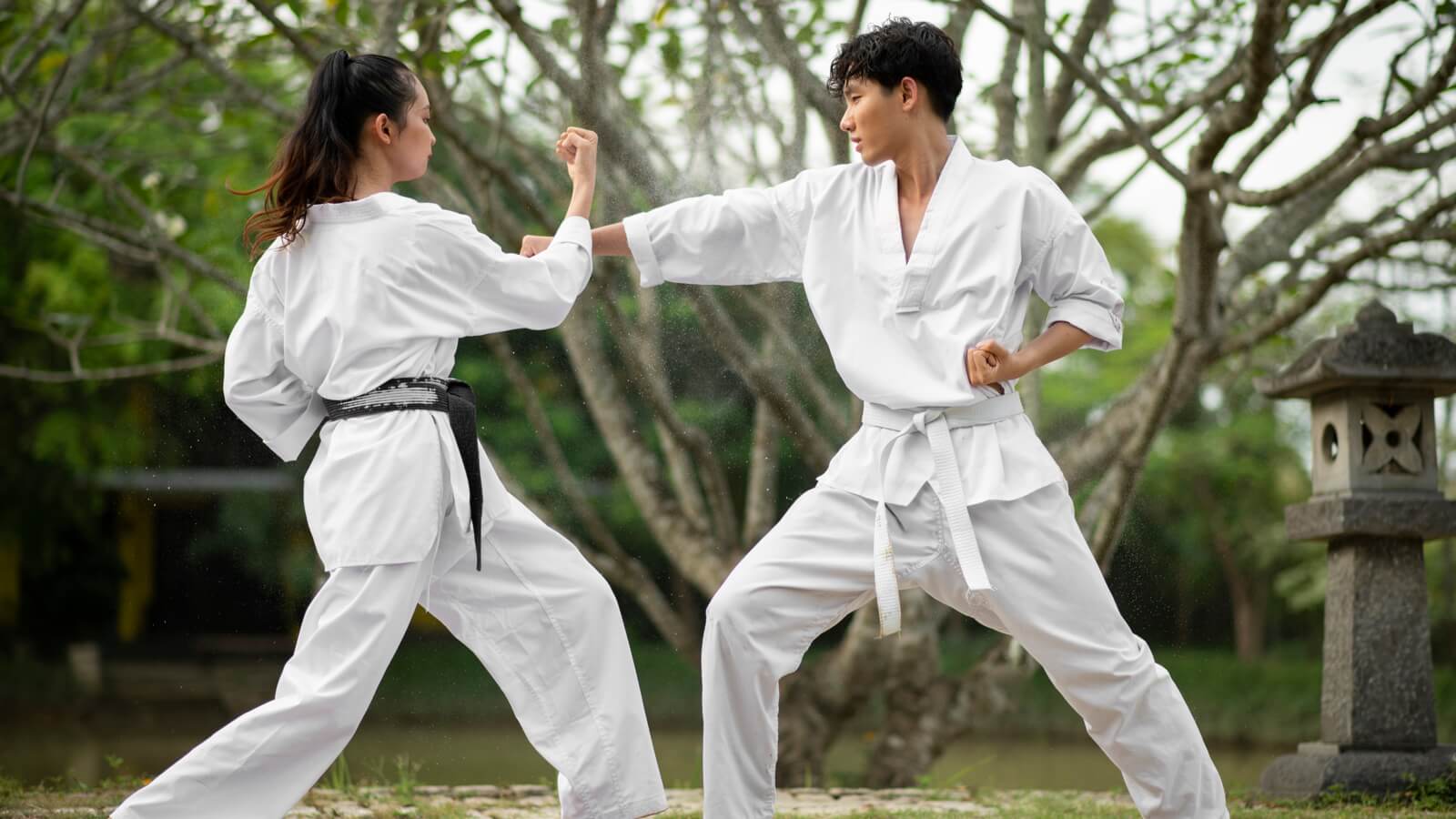 Características del Taekwon-Do | Original TaekWon-Do ITF